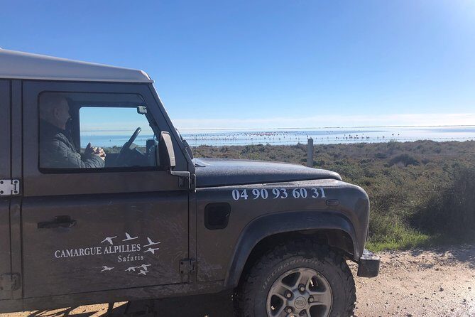 4x4 Camargue Safari 4h - Private Tour - Departure from Arles - FAQ