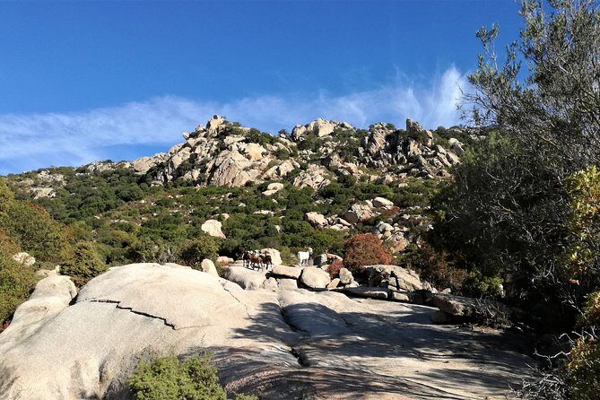 4x4 excursion between mountain and sea - The Itinerary: A Closer Look