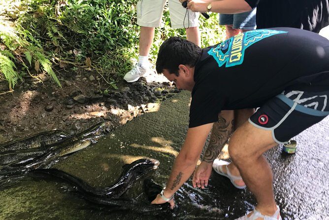 4x4 Moorea Safari Tours : With Hotel transfers - Key Points