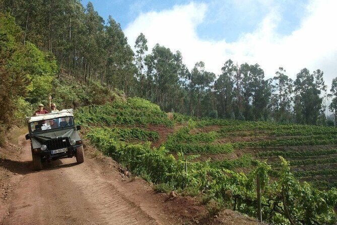 4x4 Safari Half day Poncha, Mountains, Vineyards and Cabo Girão Small group - A Closer Look at the Itinerary