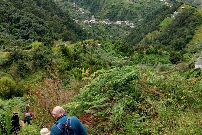 4x4 Safari Private Jeep, Full Day, Customizable Santana or Porto Moniz or other - Final Thoughts