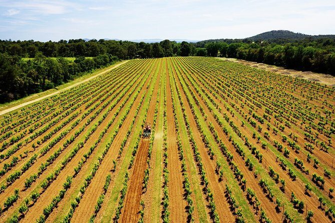 4x4 tour in a winery followed by a tasting - FAQ