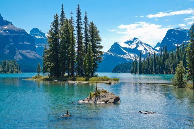 5.5-Hour Jasper Wildlife and Waterfalls Tour with Maligne Lake Cruise from Jasper - Who Will Love This Tour?
