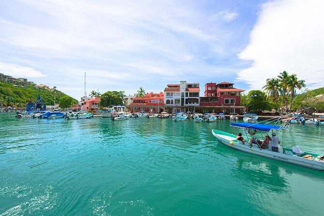 5-Bay Exclusive Premium Panga Experience - Authentic Insights from Recent Travelers  