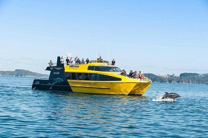 5-Day Bay of Islands, Auckland, Hobbiton, Rotorua & Waitomo Tour - Discover the Best of North Island in Just Five Days