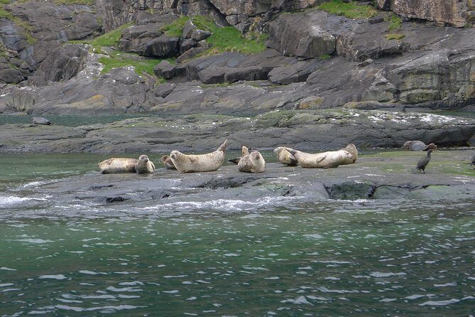 5-Day Best of Scotland Experience from Glasgow - Room for Improvement