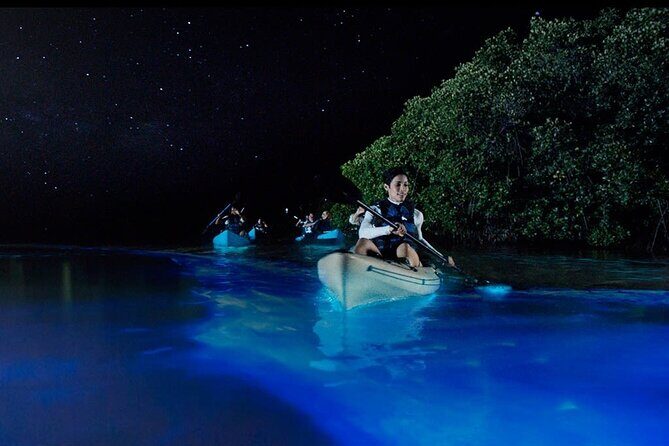 5 day California Vineyards, Waves and Wine small group tour - Who Is This Tour Best For?