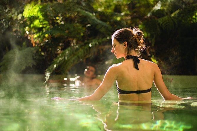 5 Day South Island Circut: Trains, Glaciers and Milford Sound from Christchurch - Practicalities & Value  