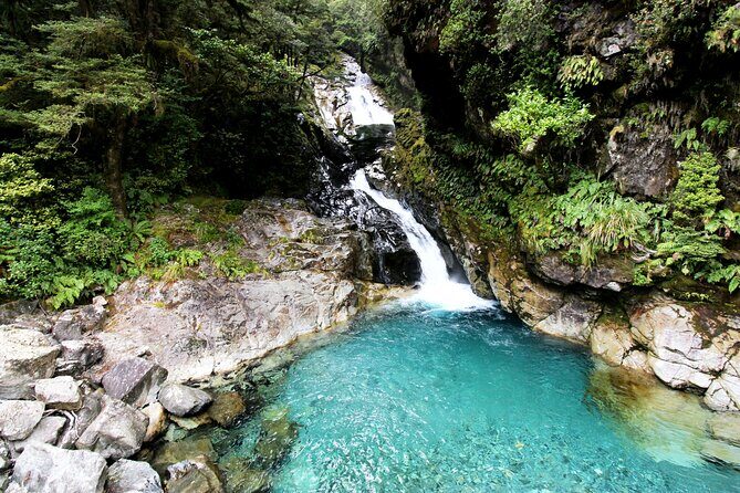 5 Day South Island New Zealand Private Tour from Dunedin - Who Will Love This Tour?
