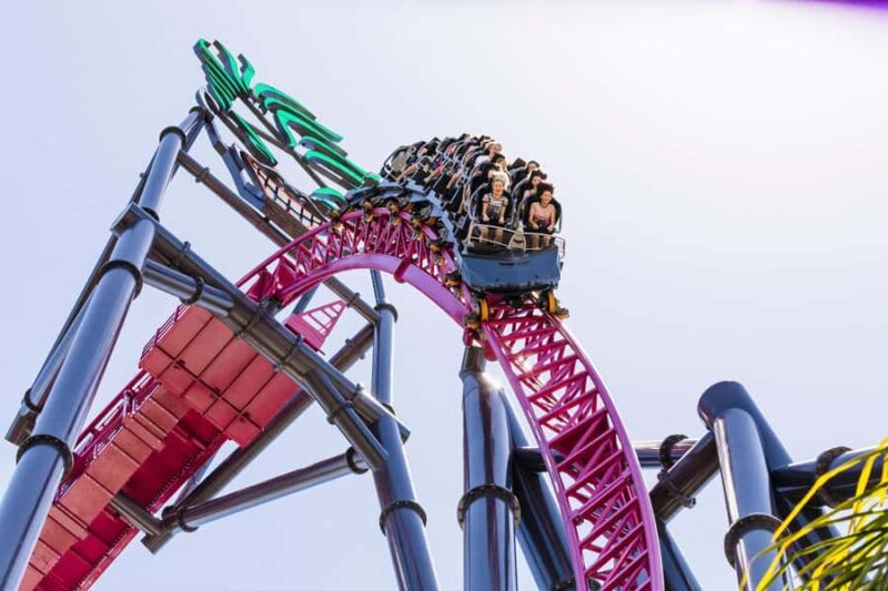 5-Day Theme Park Pass & Sea World Cruise Combo Ticket - The Benefits of the Combo Ticket