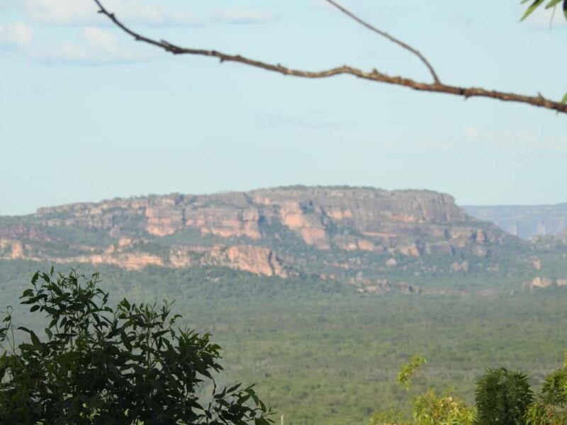 5 Day Top End - Exploring the Northern Territory: What to Expect from the 5-Day Top End Tour