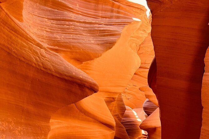 5 Day Tour L. Angeles Las Vegas Yellowstone & Grand Teton from LA - Authentic Experiences and Considerations