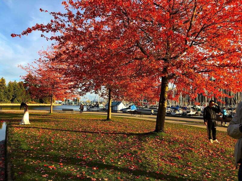 5 Days of Adventure in Vancouver Activities-Only Tour - Practical Details and Considerations