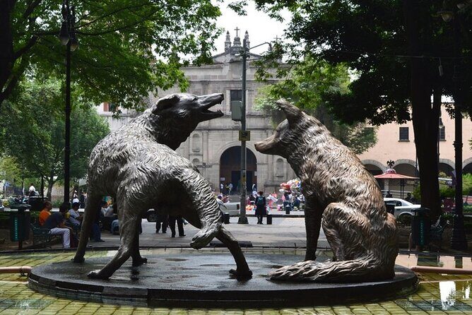 5-Days Urban Mexico Tour - Who is this tour best suited for?