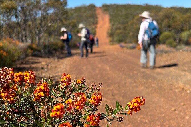 5 Days Walking with Wildflowers - Fitzgerald Biosphere - What’s Included & What’s Not