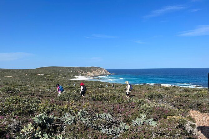 5 Days Walking with Wildflowers - Fitzgerald Biosphere - Practical Aspects & What to Expect