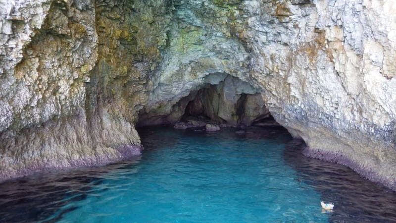 5-hour Cape Greco Caves kayaking + Snorkelling trip - Who Will Love This Tour?