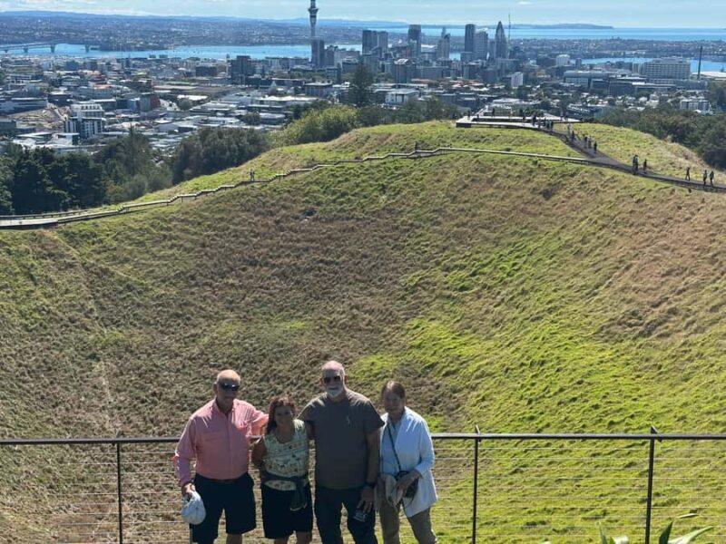 5 Hour City Excursion Unveiling Auckland's Treasures W Guide - Who Should Consider This Tour?