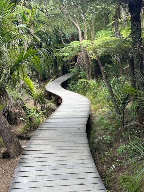 5 Hour City Excursion Unveiling Auckland's Treasures W Guide - FAQ