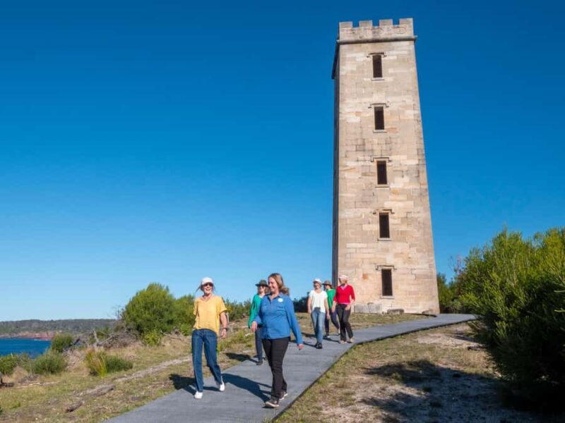 5-hour Eden Small Group Tour: Beaches, Lookouts and More - The Sum Up