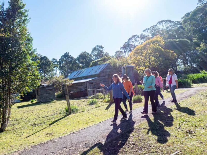 5-hour Eden Small Group Tour: Beaches, Lookouts and More - FAQ