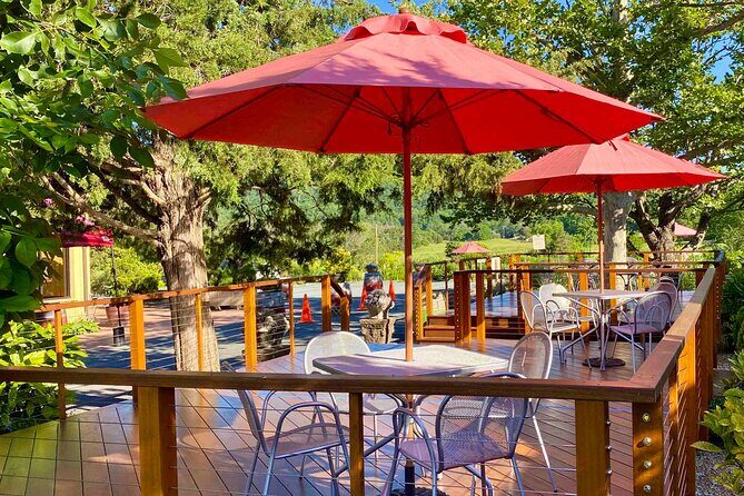 5 Hour Historic Thomas Jefferson Wine Tour - Barboursville Vineyards and Ancient Ruins