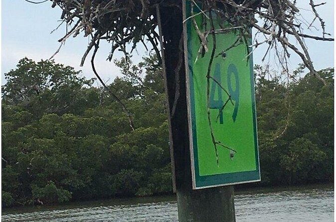 5 Hour Keewaydin Island Beach Tour - The Value of This Tour