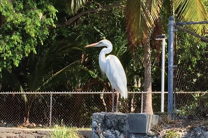 5 Hour Keewaydin Island Beach Tour - Who Will Love This Tour?