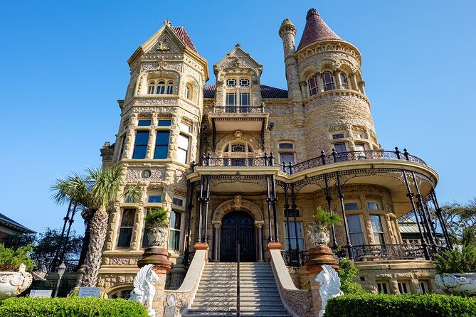 5 Hour Private Coastal Adventure in Galveston Island - Practical Tips for Your Tour