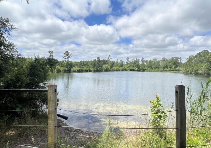 5-Hour Wilmington River to Sea E-Bike Self-Guided Tour - An In-Depth Look at the Wilmington River to Sea E-Bike Tour