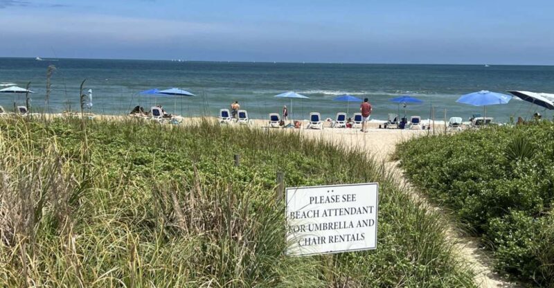 5-Hour Wilmington River to Sea E-Bike Self-Guided Tour - Who Would Love This Experience?