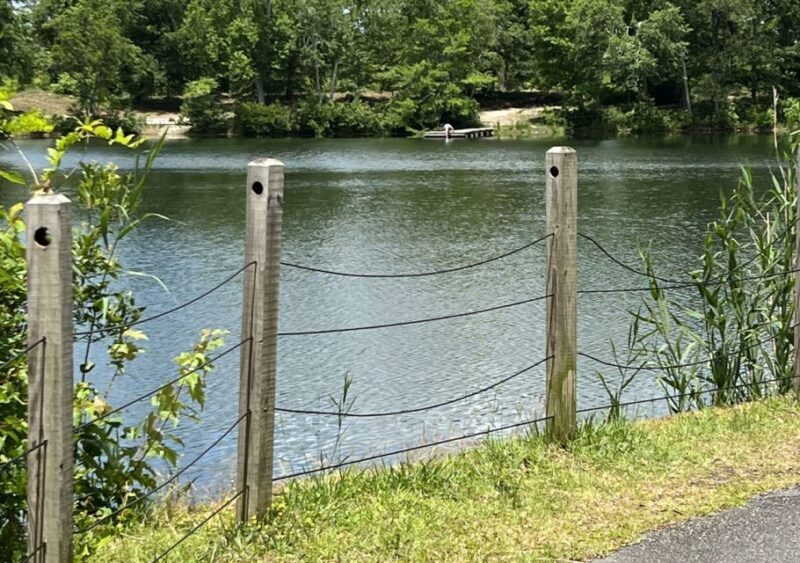 5-Hour Wilmington River to Sea E-Bike Self-Guided Tour - Frequently Asked Questions