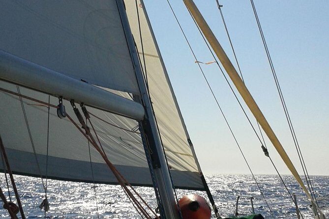 5 hours from Sithonia: Sailing trip secluded coves & Islands - Key Points