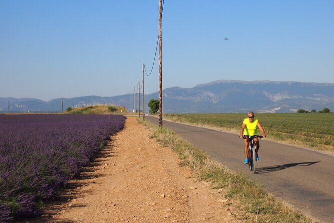 5-Hours Lavender Fields Tour in Valensole from Aix-en-Provence - The Itinerary in Detail