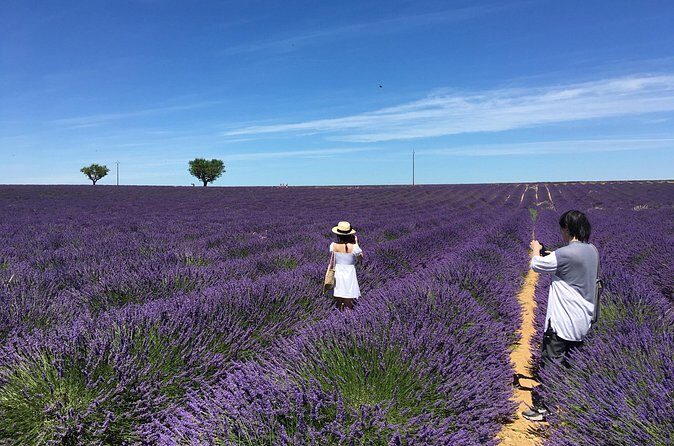 5-Hours Lavender Fields Tour in Valensole from Aix-en-Provence - Practical Tips for Travelers