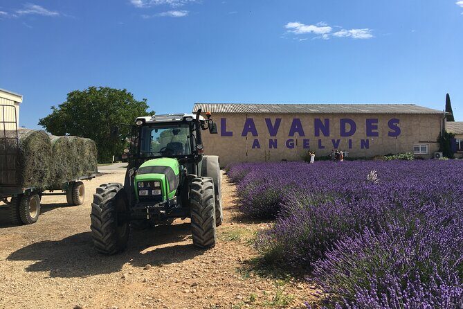 5-Hours Lavender Fields Tour in Valensole from Aix-en-Provence - The Sum Up