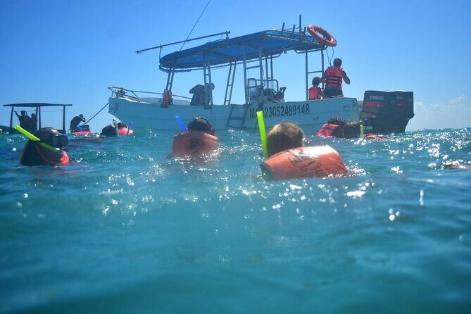 5 Hours Mayan Snorkeling Experience in Tulum - The Sum Up: Who Will Love This Tour?