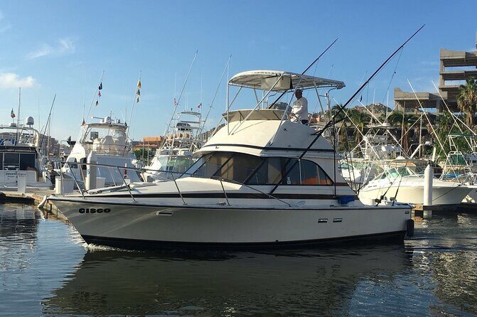 5-Hours Private Fishing Experience in Cruiser in Cabo San Lucas - What to Expect From the Private Fishing Trip