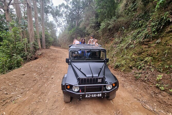 5 Hours Private tour To Porto Moniz, Rock pools, waterfalls - Seixal: Black Sand Beach and Mountain Views