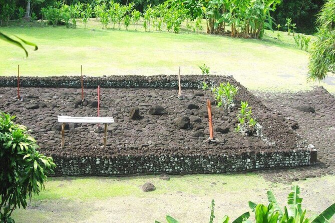 5 Hours Tahiti Island Tour - West and East Coast - Why Choose the 5 Hours Tahiti Island Tour?