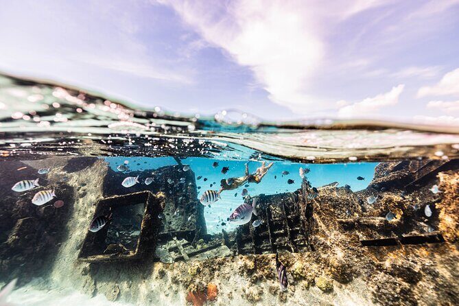 5-in-1 Cancun Snorkeling Tour with Sea Life & Transport Included - Authentic Experiences from Reviewers