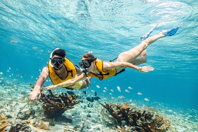 5-in-1 Cancun Snorkeling Tour with Sea Life & Transport Included - Final Thoughts