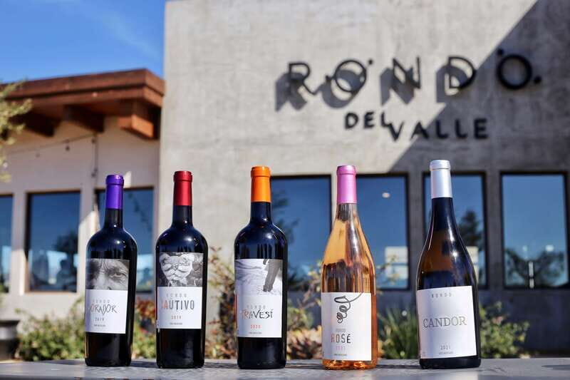 5 wines Tastings with Tour in Valle de Guadalupe Winery - An In-Depth Look at the Experience