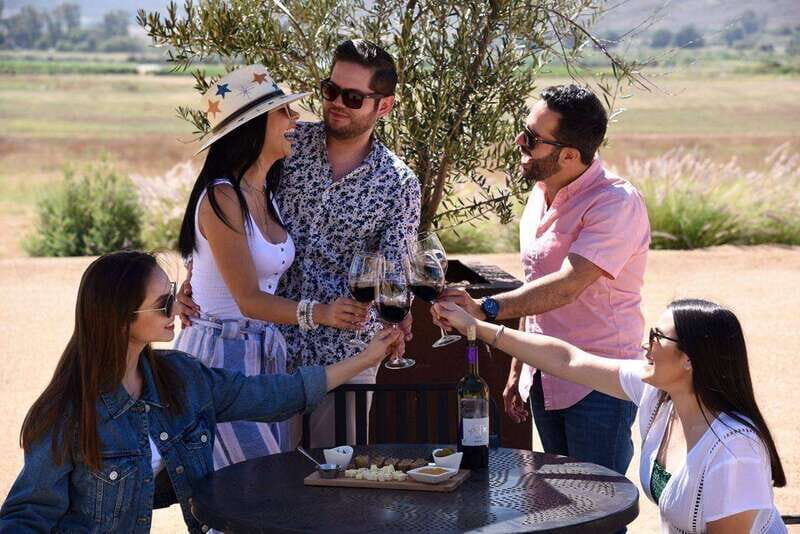 5 wines Tastings with Tour in Valle de Guadalupe Winery - The Sum Up