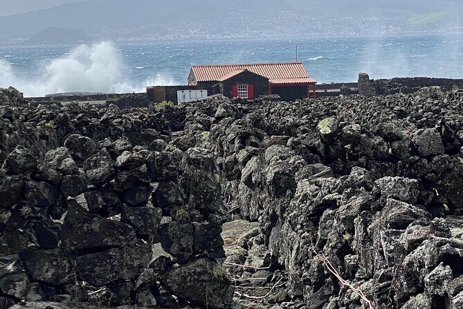 500 years of vines and 300,000 years of island, an infinite story - An In-Depth Look at the Pico Experience