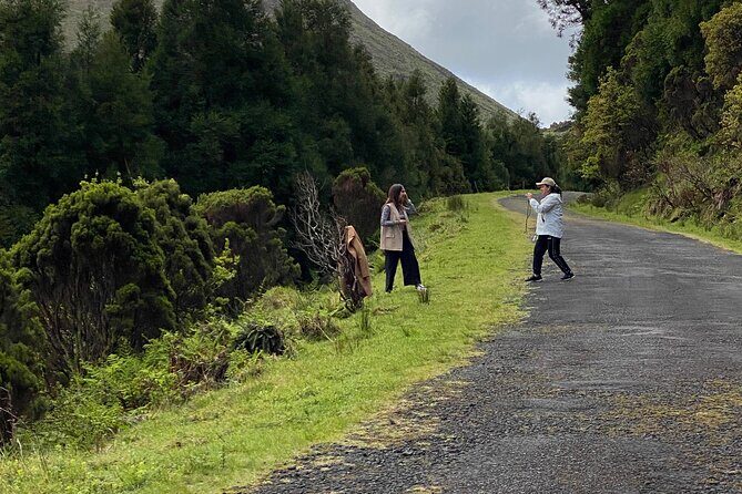 500 years of vines and 300,000 years of island, an infinite story - The Sum Up