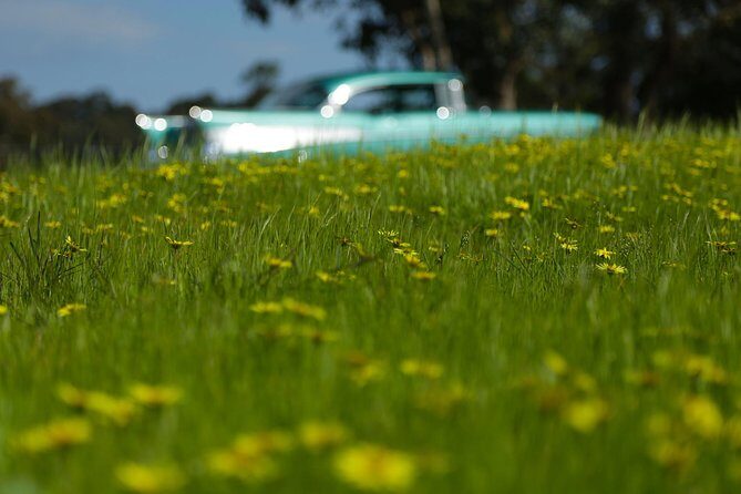'56 Chevrolet 6-hr Yarra Valley Classic Car Private Tour (4 ppl) - Final Thoughts