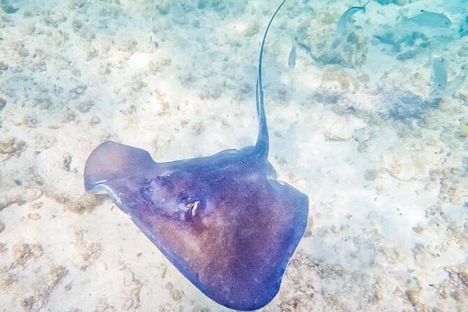 5H 42' Azimut Yacht All-Inclusive from Tulum & Playa del Carmen. - Final Thoughts