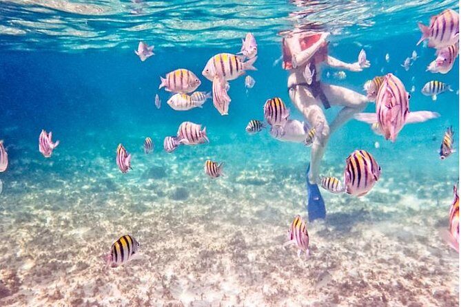 5H 42' Azimut Yacht All-Inclusive from Tulum & Playa del Carmen. - Who Is This Tour Best For?  