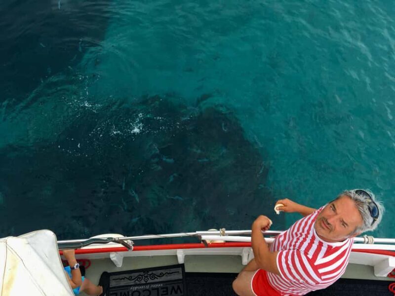 5h Plavnik Island: Swim & Snorkel with Capt. Bobo (Public) - Exploring the Other Side of the Island